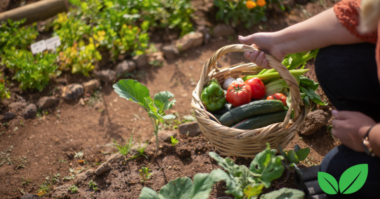 Eco-Friendly Planting at Home: Grow Green, Live Clean